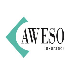 Representatives - Oracle Group Insurance Brokers